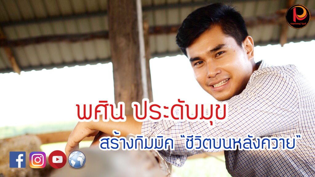 ฟาร์มควาย | Pasusart.com